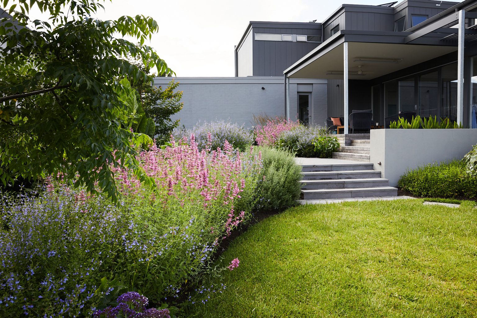 Balwyn North Landscape & Garden Designer | Luma Landscapes